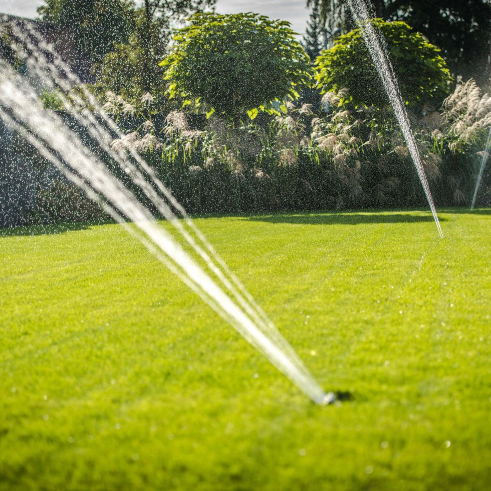 Landscaping | Irrigation | Filtration | Water & Landscape Solutions