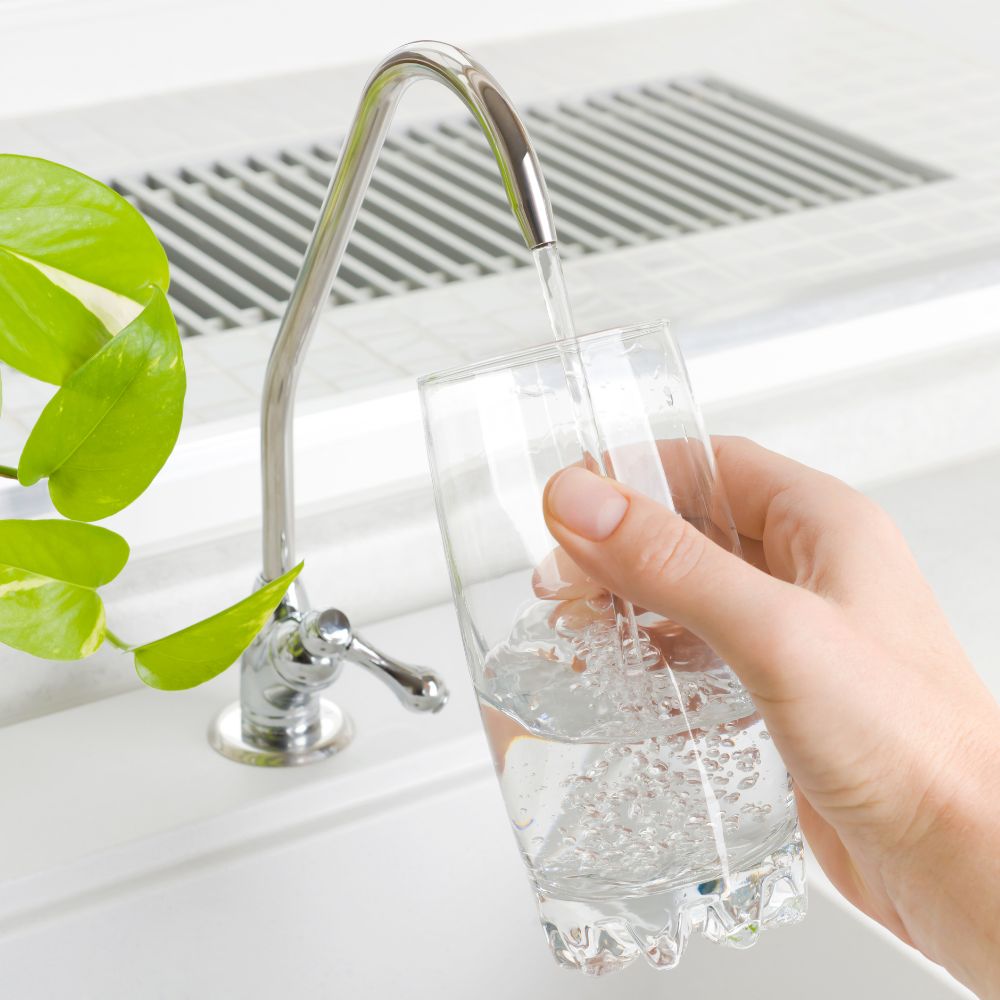 Landscaping | Irrigation | Filtration | Water & Landscape Solutions