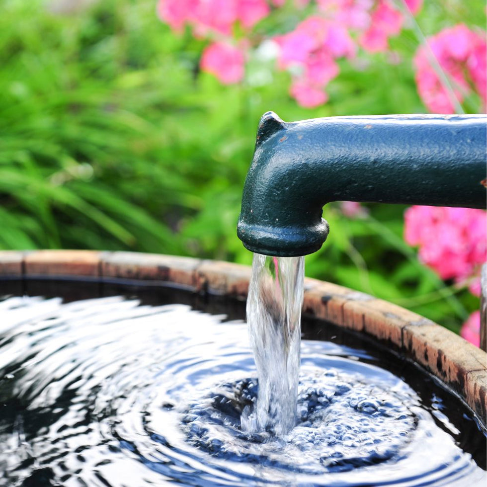 Landscaping | Irrigation | Filtration | Water & Landscape Solutions